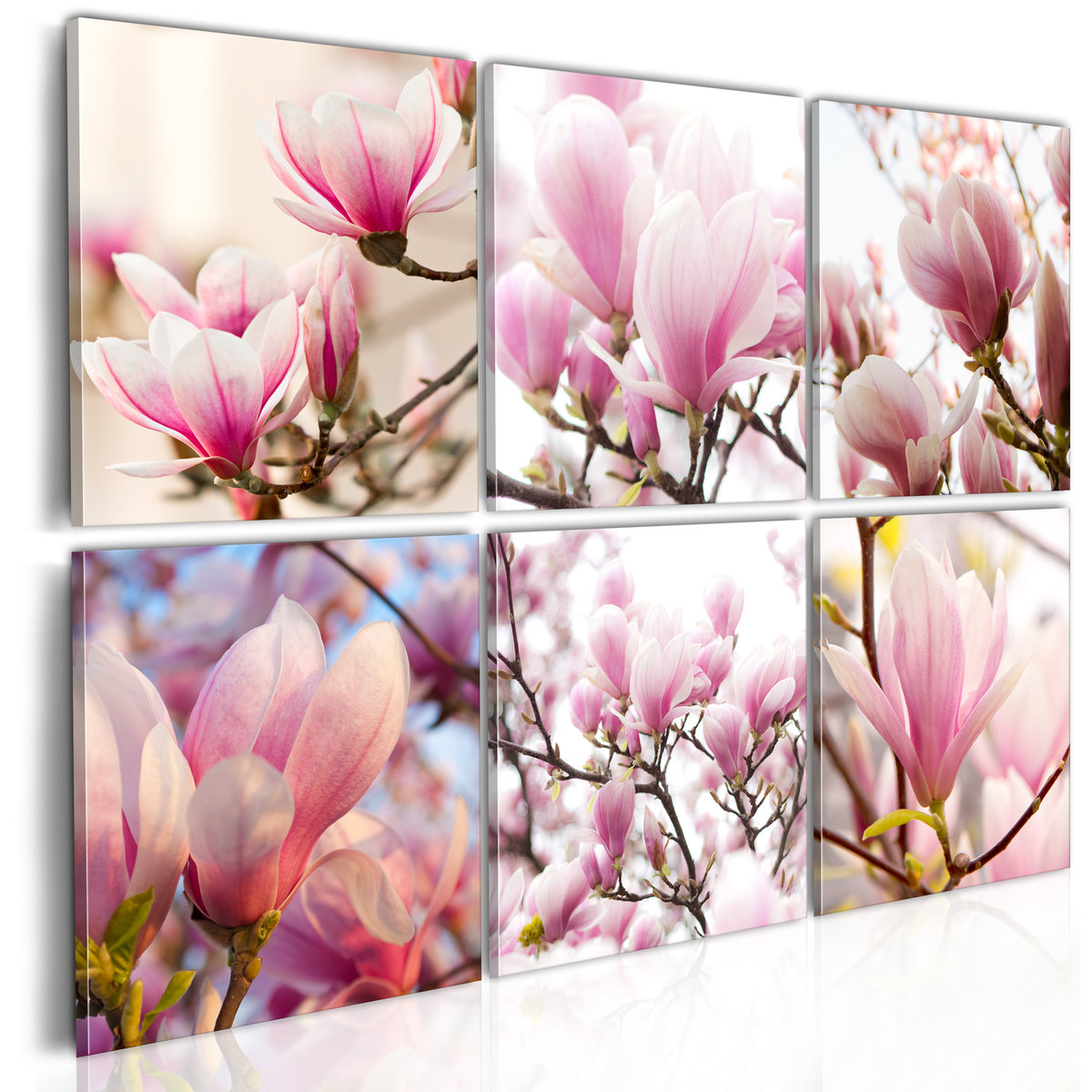 Obraz - Magnolie na południu 60x40 Premium Print Płótno włoskie 300 g ...