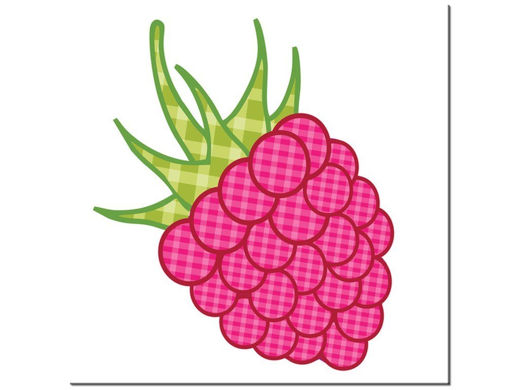 Obraz Malina, 30x30 cm - Oobrazy | Sklep EMPIK.COM