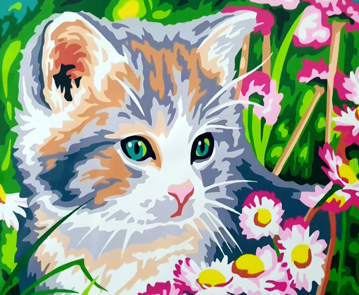 Obraz Malowanie Po Numerach Dla Dzieci + Rama - Norimpex | Sklep EMPIK.COM