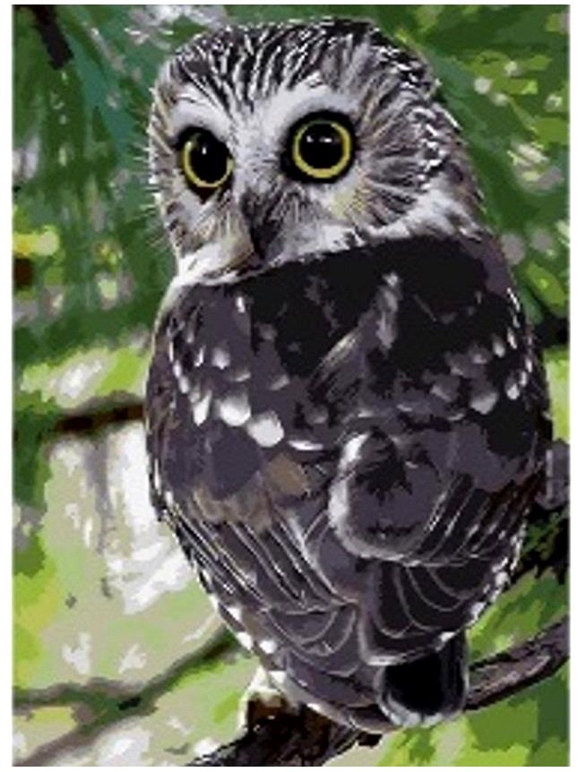 Obraz Malowanie Po Numerach Rama W Zestawie 50X40 Sowa Puchacz Ptak - PAMPICIO | Sklep EMPIK.COM