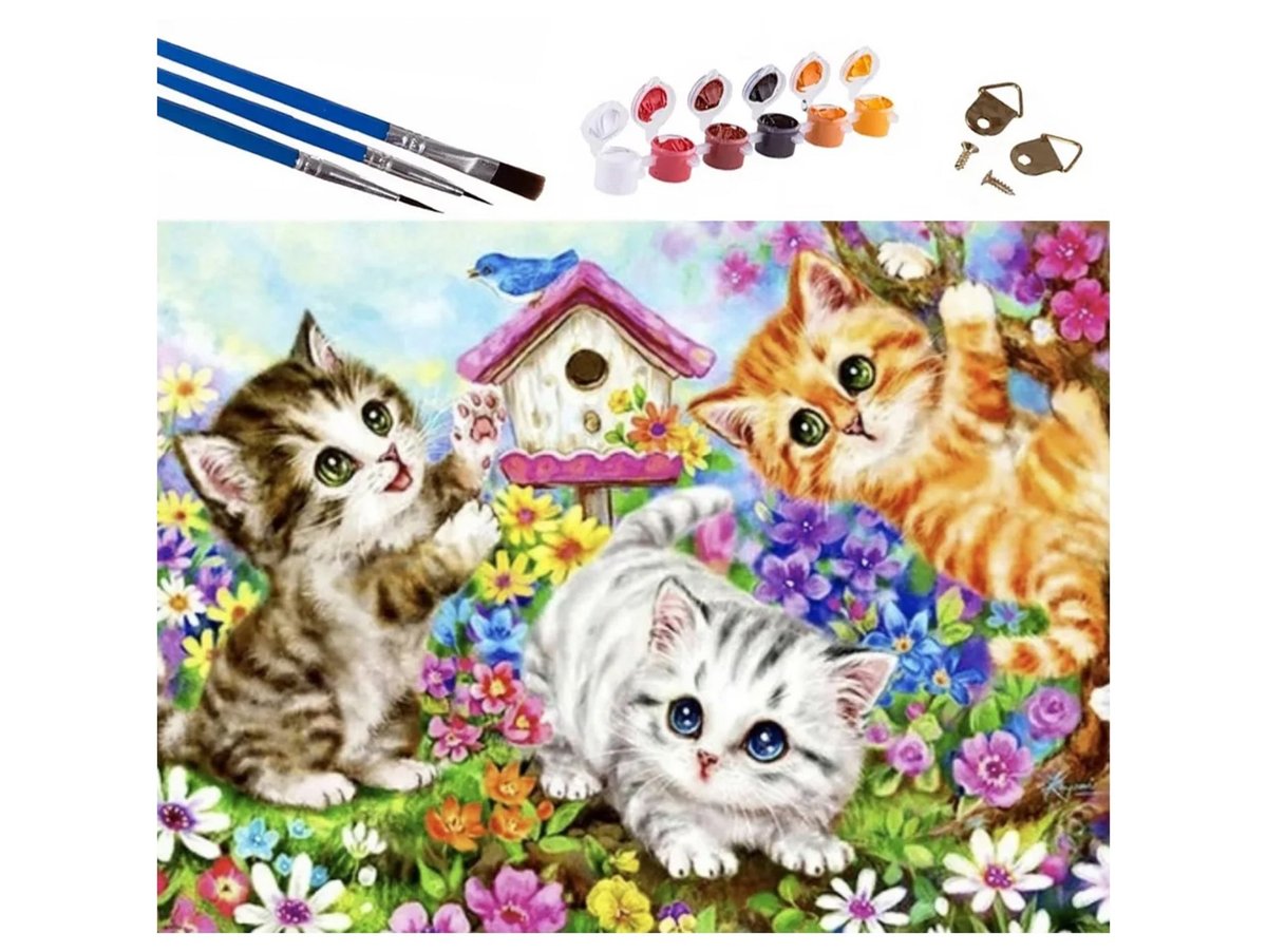 Obraz Malowanie Po Numerach Zestaw Prezent Płótno Diy Do Malowania ...