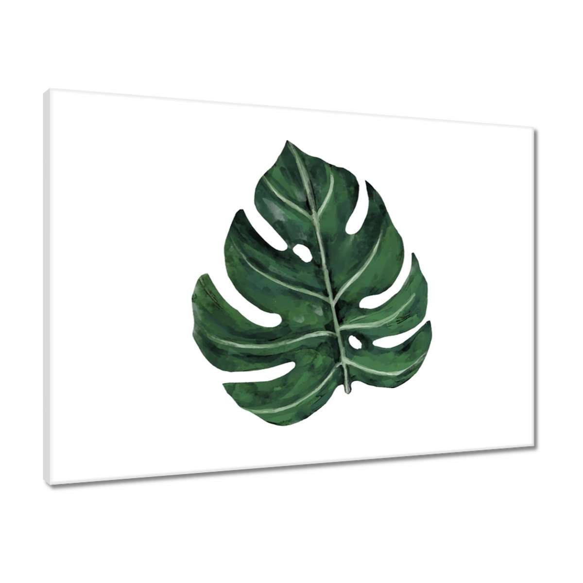 Obraz Monstera Zielony liść, 70x50cm - ZeSmakiem | Sklep EMPIK.COM