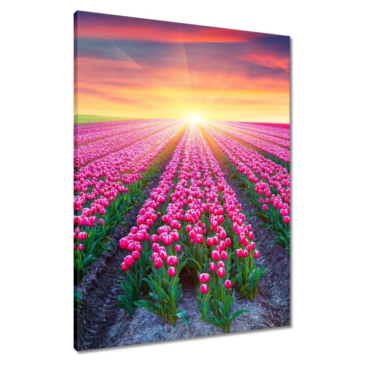 Obraz Morze tulipanów Kwiaty, 60x80cm - ZeSmakiem | Sklep EMPIK.COM