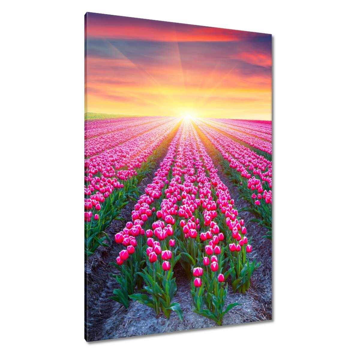 Obraz Morze tulipanów Kwiaty, 80x120cm - ZeSmakiem | Sklep EMPIK.COM