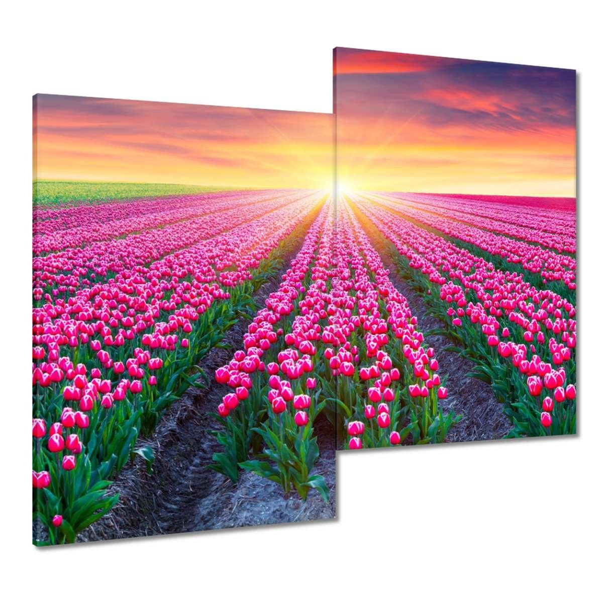 Obraz Morze tulipanów Kwiaty, 80x70cm - ZeSmakiem | Sklep EMPIK.COM