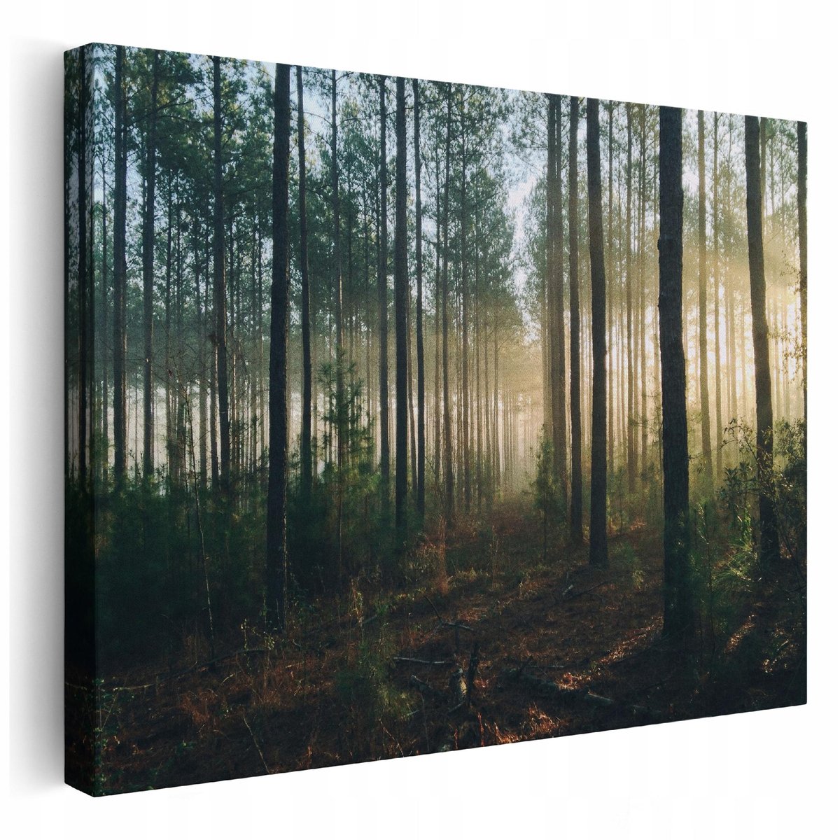 OBRAZ NA PŁÓTNIE 100 cm **wiele wzorów** OBRAZY DO SALONU LAS DRZEWA ...