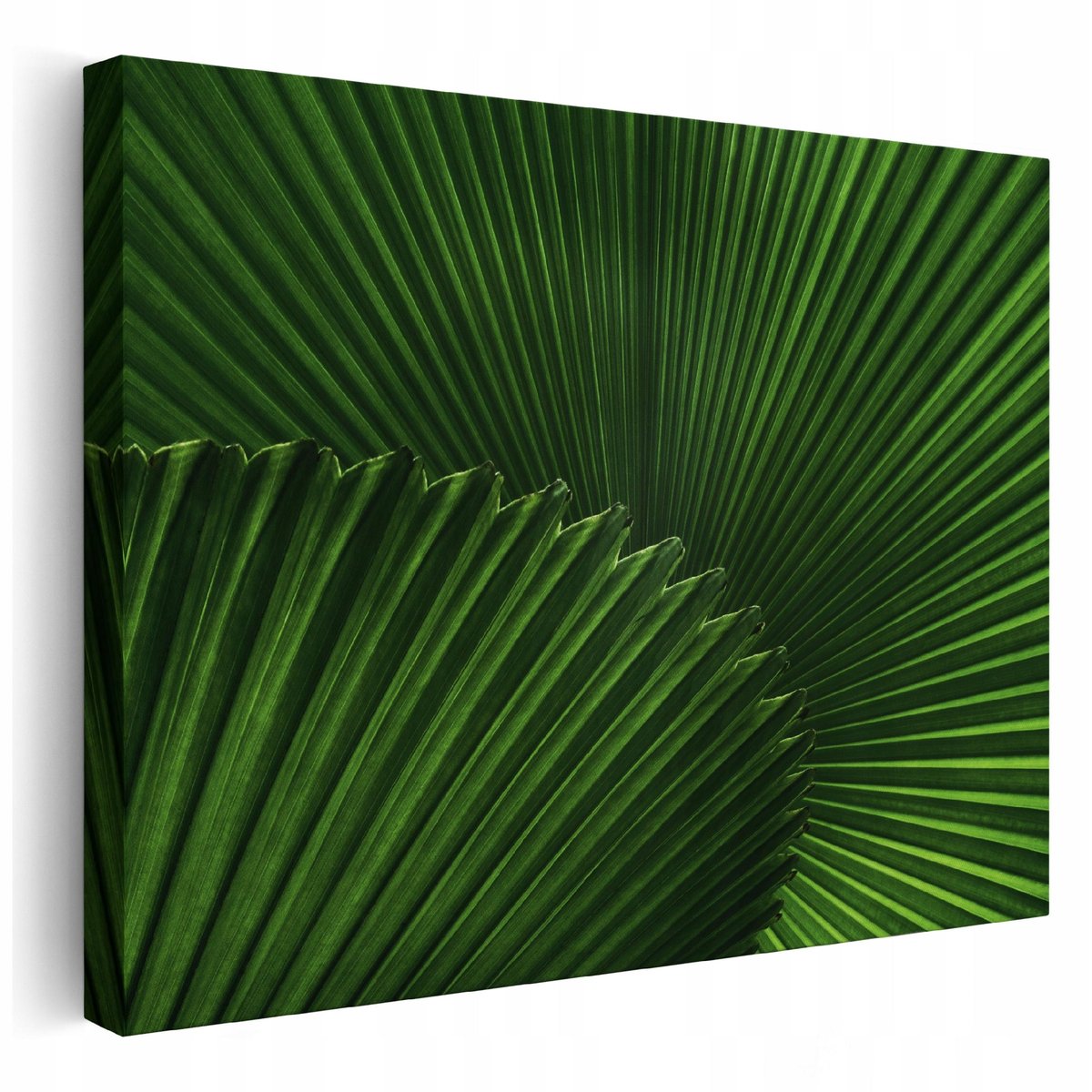 OBRAZ NA PŁÓTNIE 100 cm **wiele wzorów** OBRAZY DO SALONU LIŚĆ PALMA ...