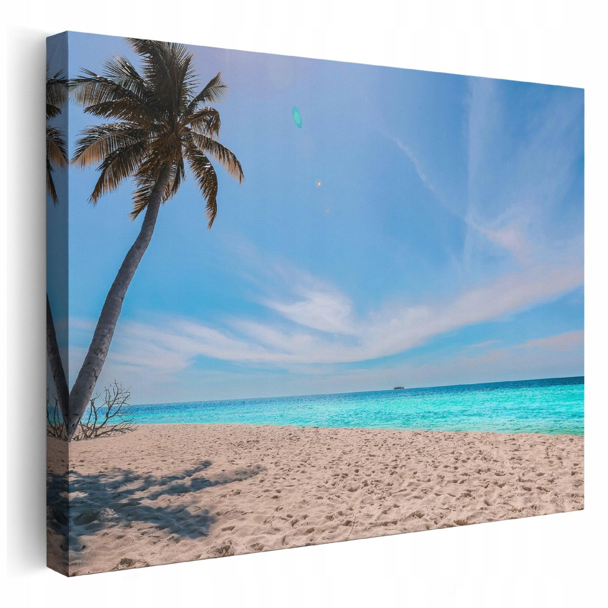 OBRAZ NA PŁÓTNIE 100 cm *wiele wzorów* OBRAZY DO SALONU PALMA PLAŻA ...