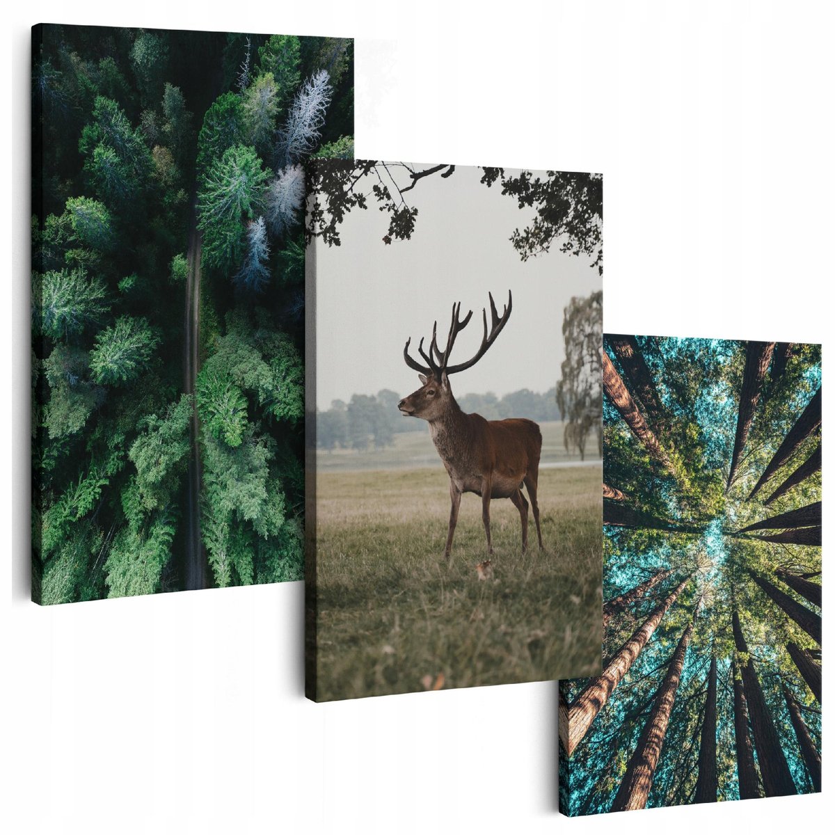 OBRAZ NA PŁÓTNIE 150 cm **wiele wzorów** 3 SZT OBRAZY DO SALONU NA ...