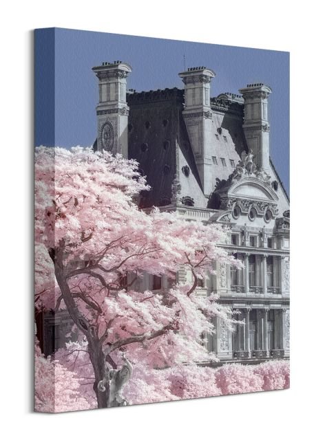 Obraz na płótnie Clapp David Jardin De Tuilieres Infrared, Paris obrazy ...