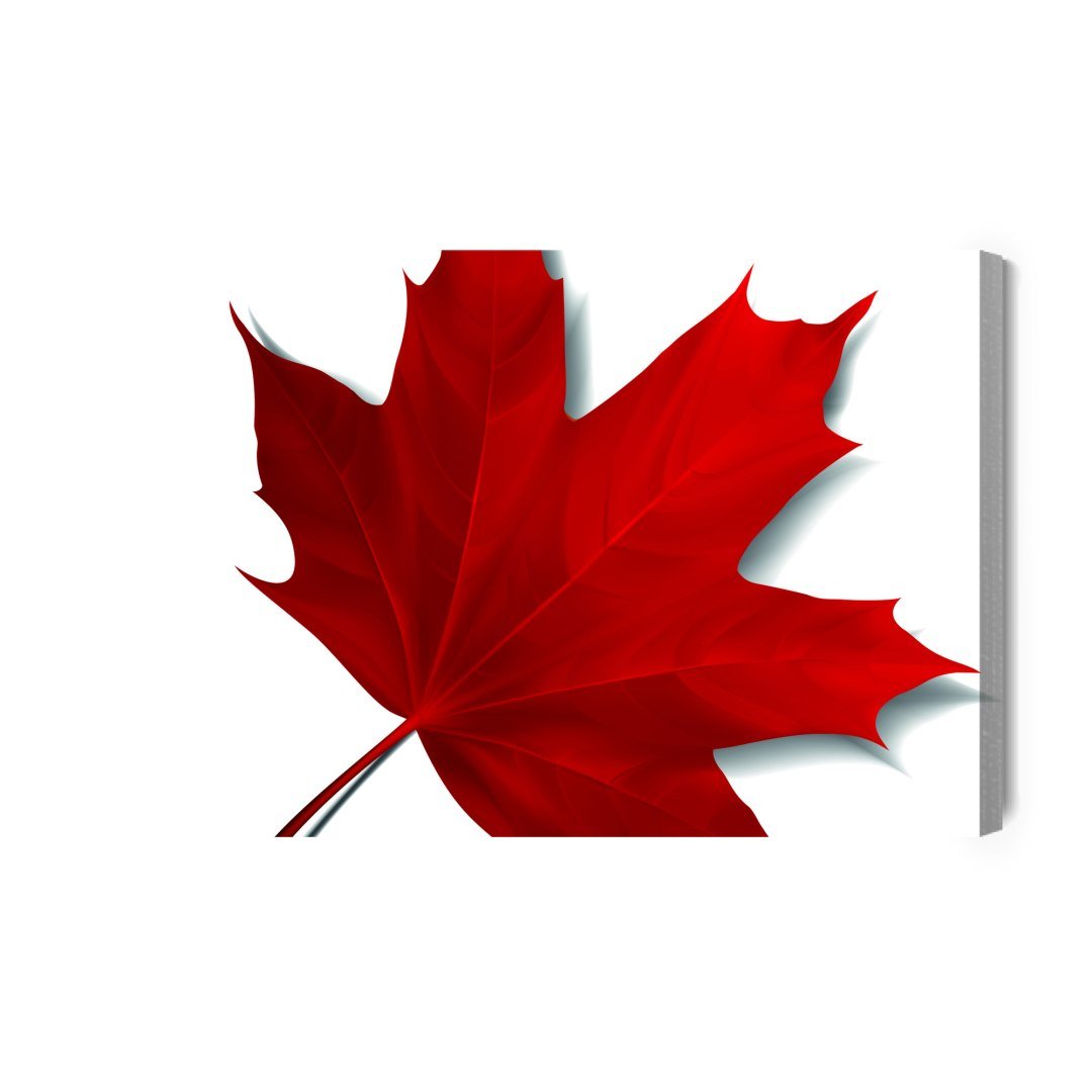 Obraz Na Płótnie Czerwony Liść Klonu 70x50 - Inna marka | Sklep EMPIK.COM