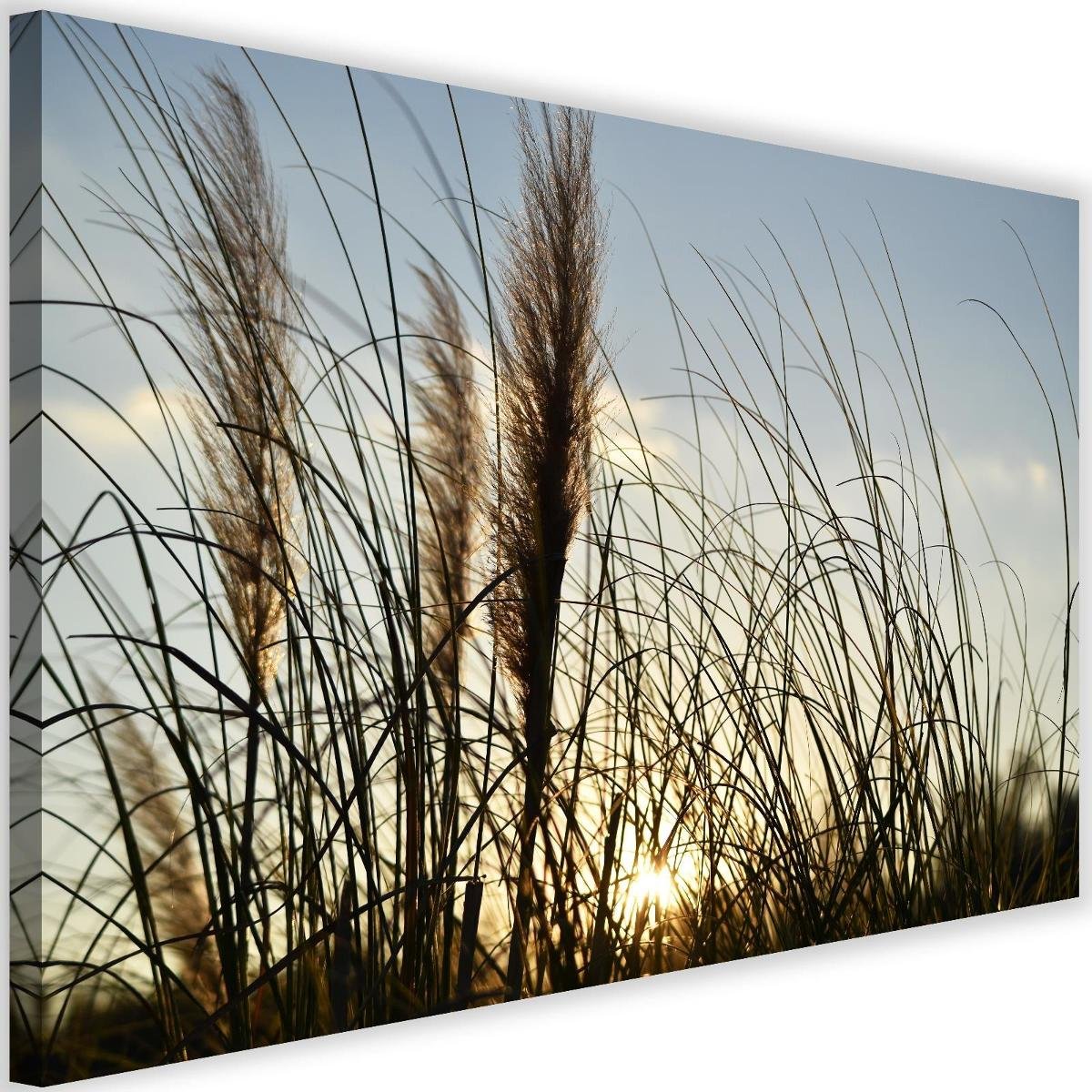 Obraz na płótnie FEEBY, Trzcina Natura Jezioro 60x40 - Feeby | Sklep ...