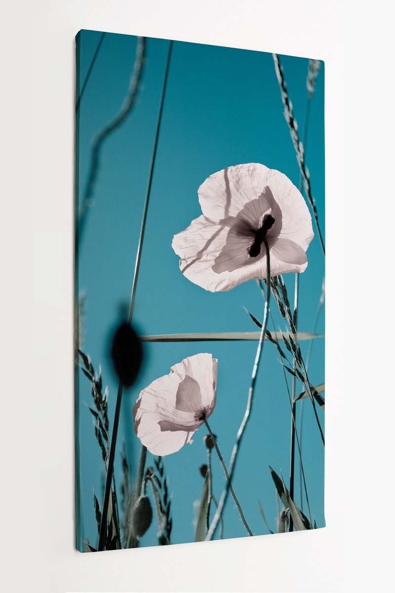 Obraz na płótnie HOMEPRINT, białe maki, fauna, kwiaty, łąka 60x120 cm ... Obraz na płótnie HOMEPRINT, białe maki, fauna, kwiaty, łąka 60x120 cm ...
