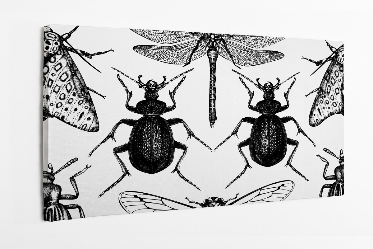 Obraz na płótnie HOMEPRINT, czarno - białe owady typ ważka, chrząszcz ...