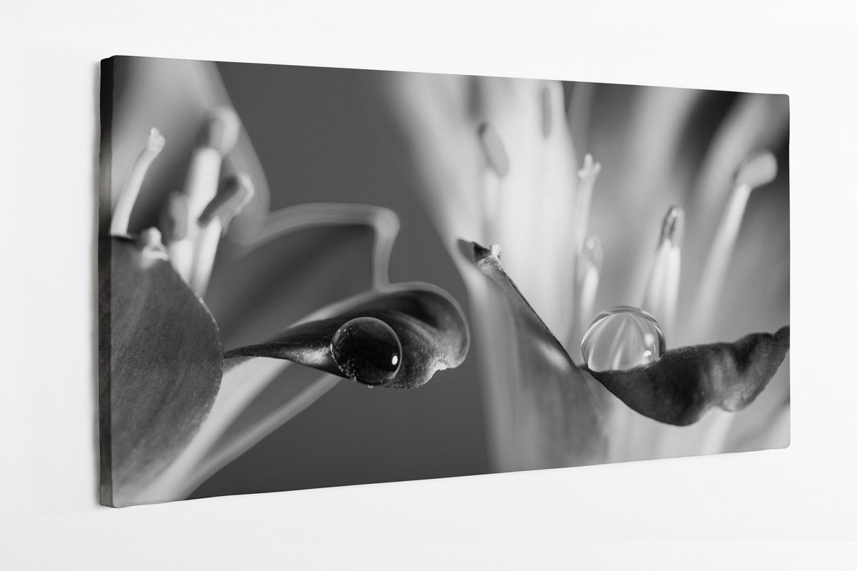 Obraz na płótnie HOMEPRINT, czarno-biały obraz kropli deszczu na ...