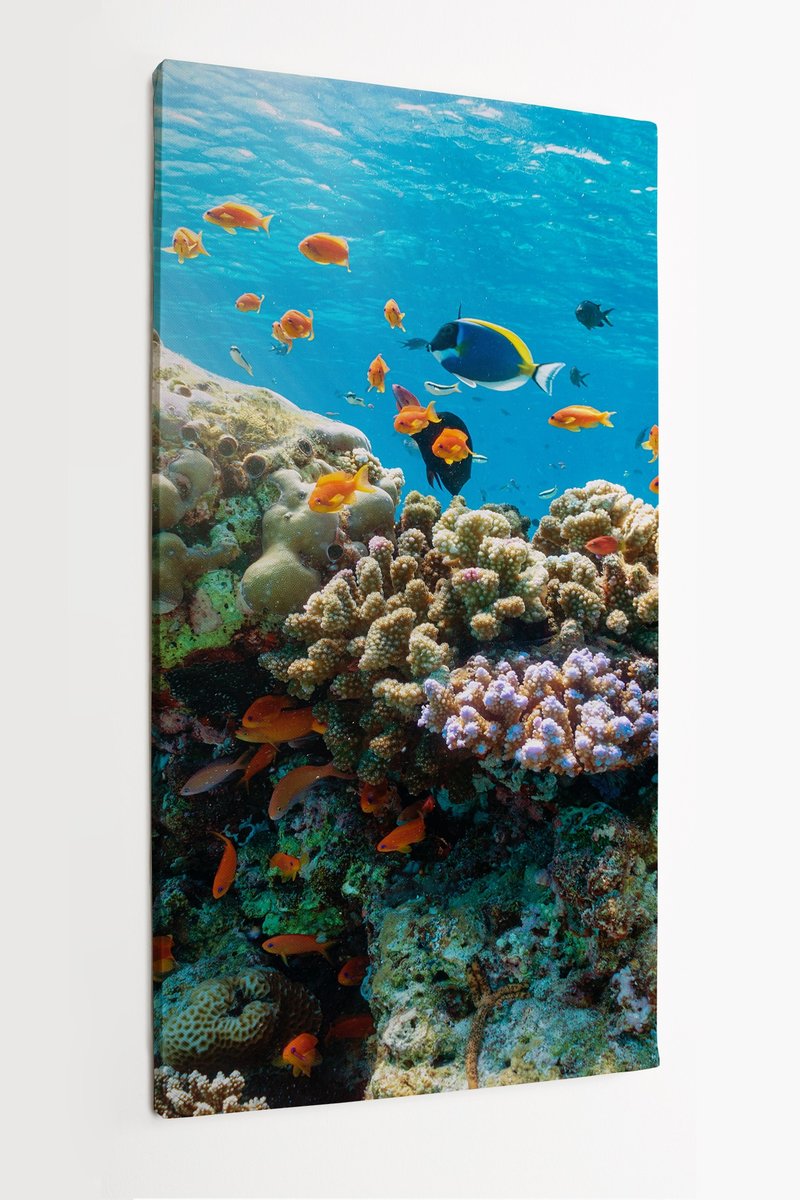 Obraz na płótnie HOMEPRINT, kolorowa rafa koralowa z tropikalnymi ...
