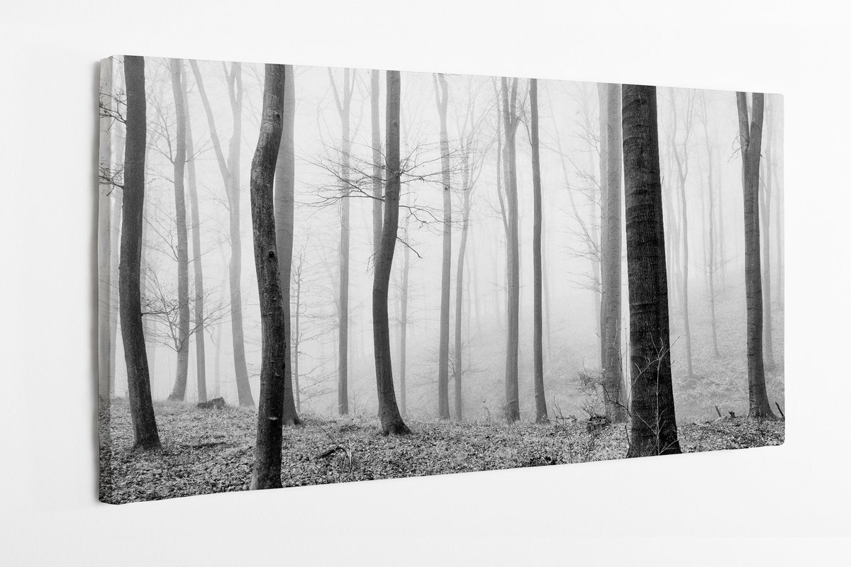 Obraz na płótnie HOMEPRINT, las, czarno-biały, drzewa, zima 140x70 cm ...