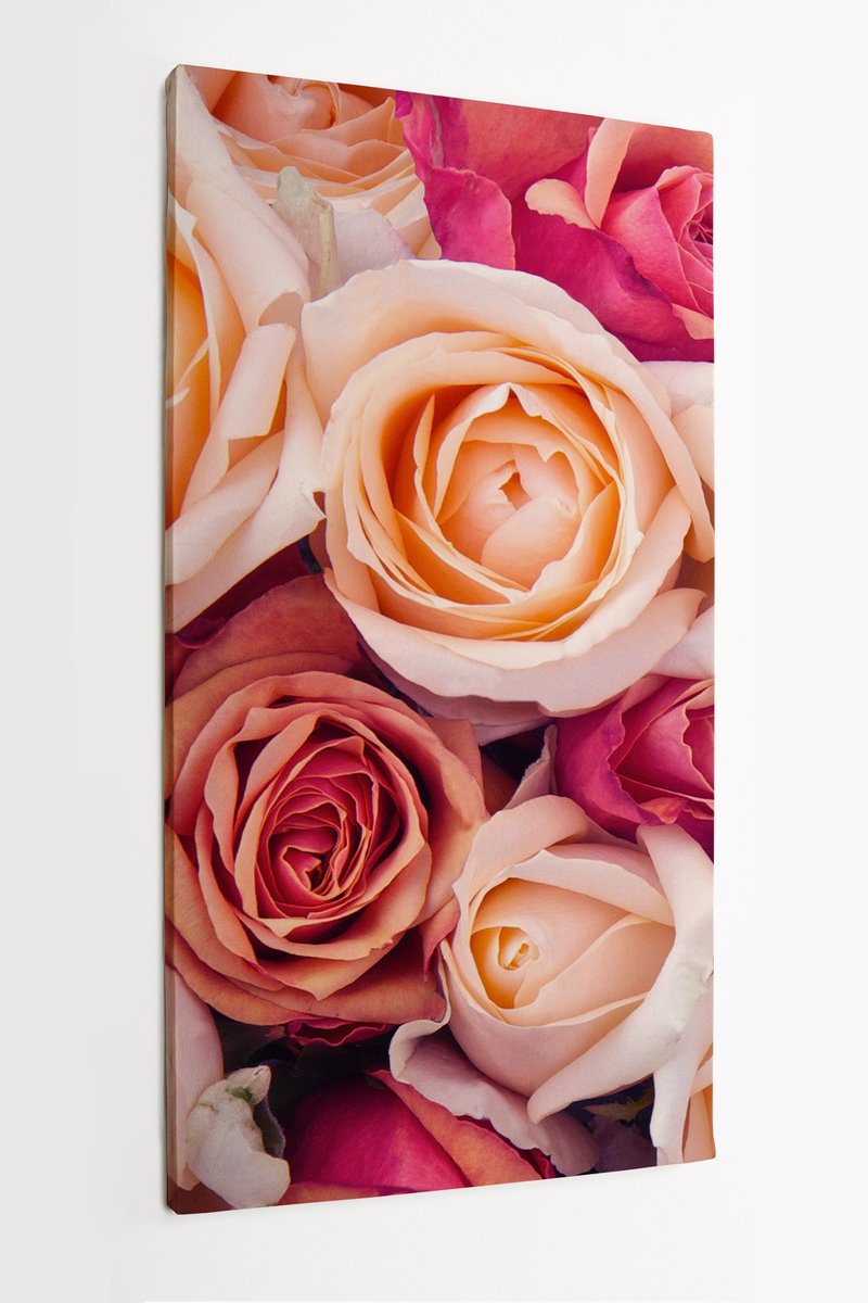 Obraz na płótnie HOMEPRINT, róża, kwiaty, widok z góry, pastelowe ...