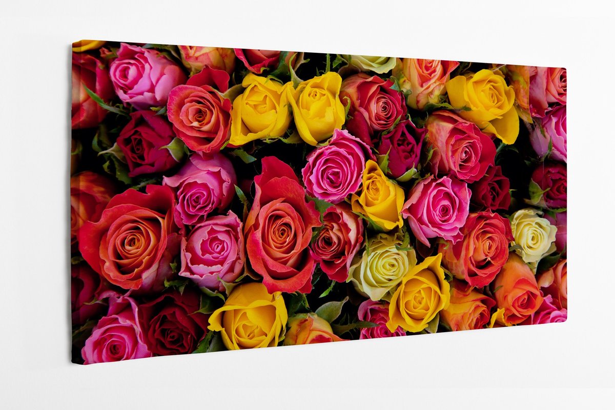 Obraz na płótnie HOMEPRINT, wielobarwne róże, kwiaty z góry, kolorowe ...