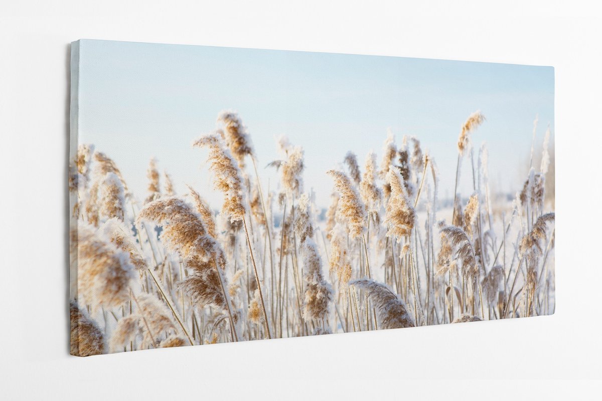 Obraz na płótnie HOMEPRINT, zmarznięta trawa zimą, szron, natura ...