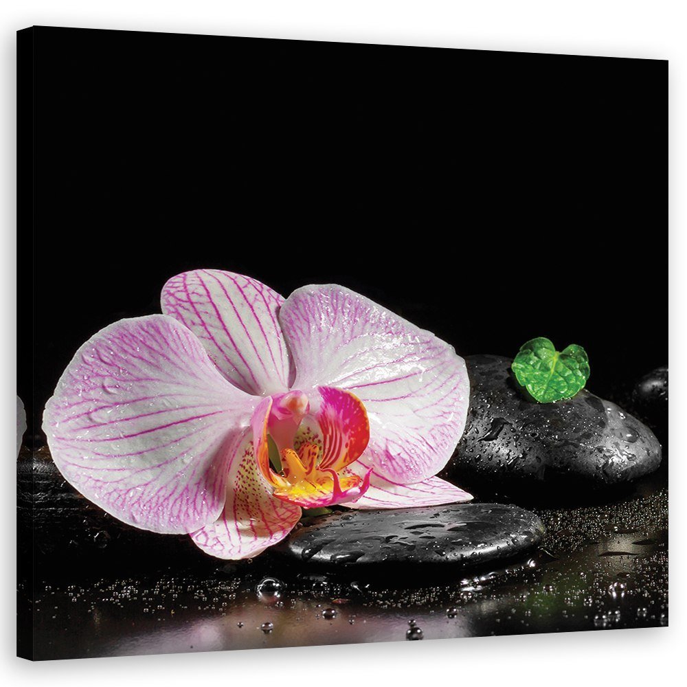 Obraz Na Płótnie, Kwitnąca Orchidea Zen - 60X60 - Pozostali producenci | Sklep EMPIK.COM