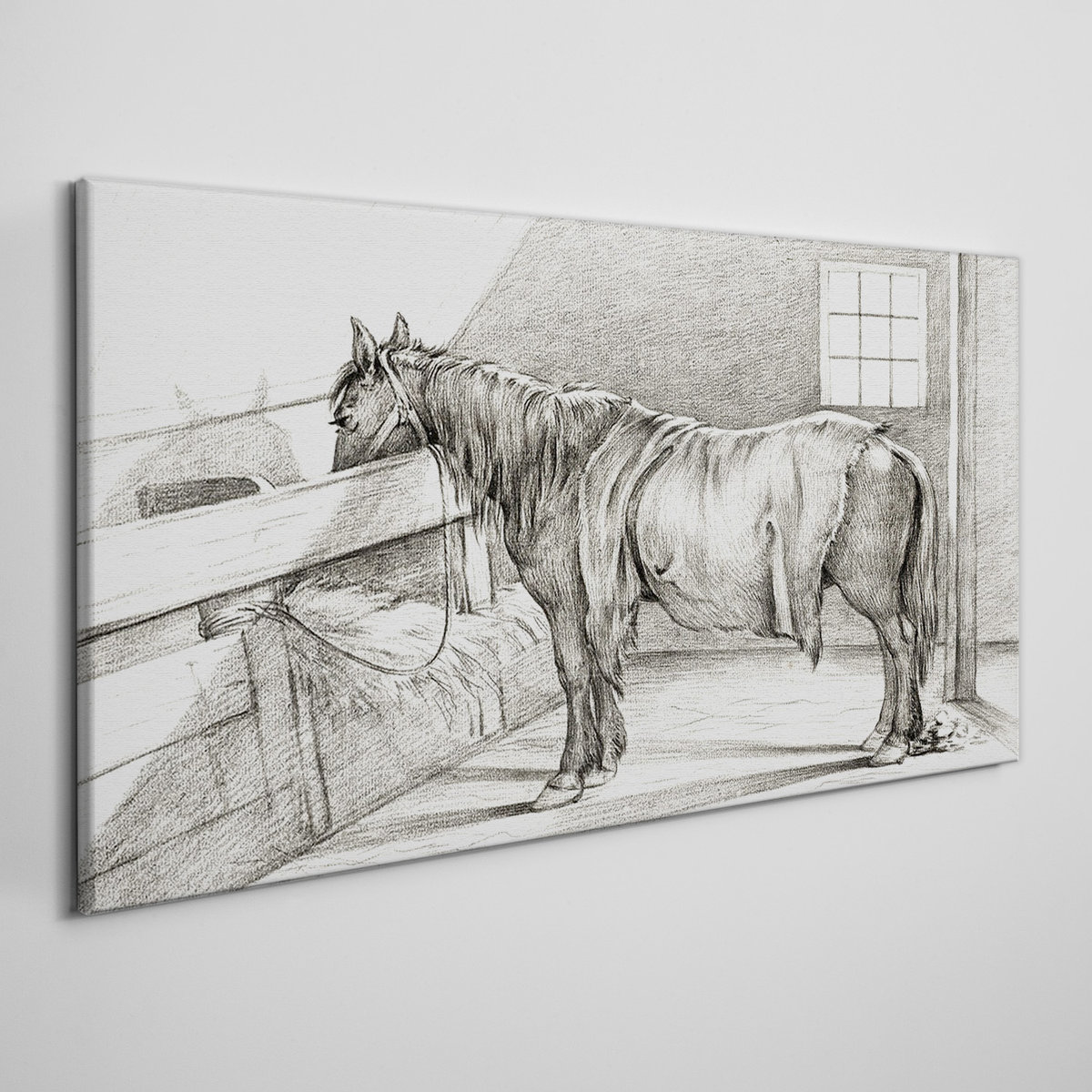 Obraz Na Płótnie na ramie Zwierzę koń 100x50 cm - Coloray | Sklep EMPIK.COM