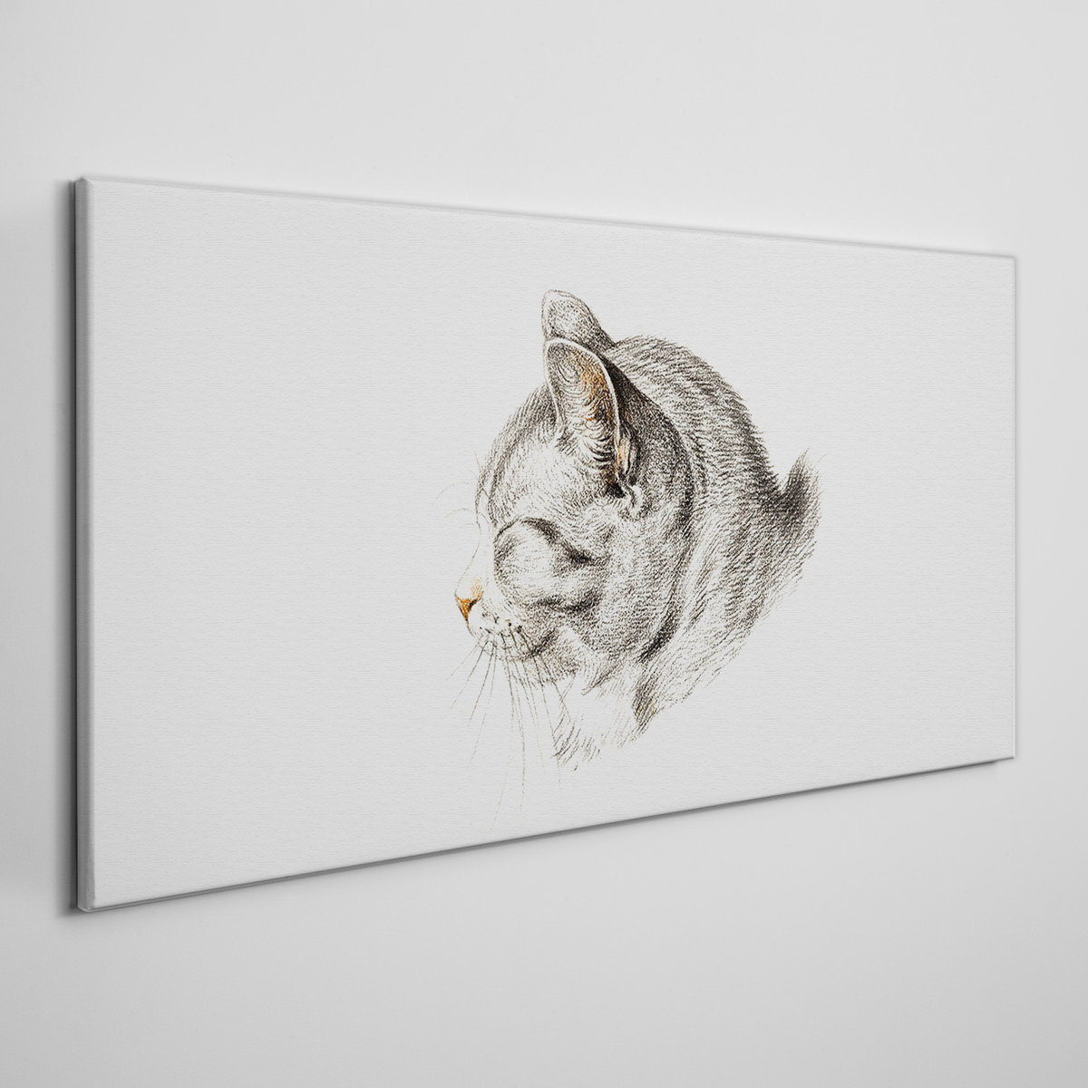 Obraz Na Płótnie na ramie Zwierzę kot 100x50 cm - Coloray | Sklep EMPIK.COM