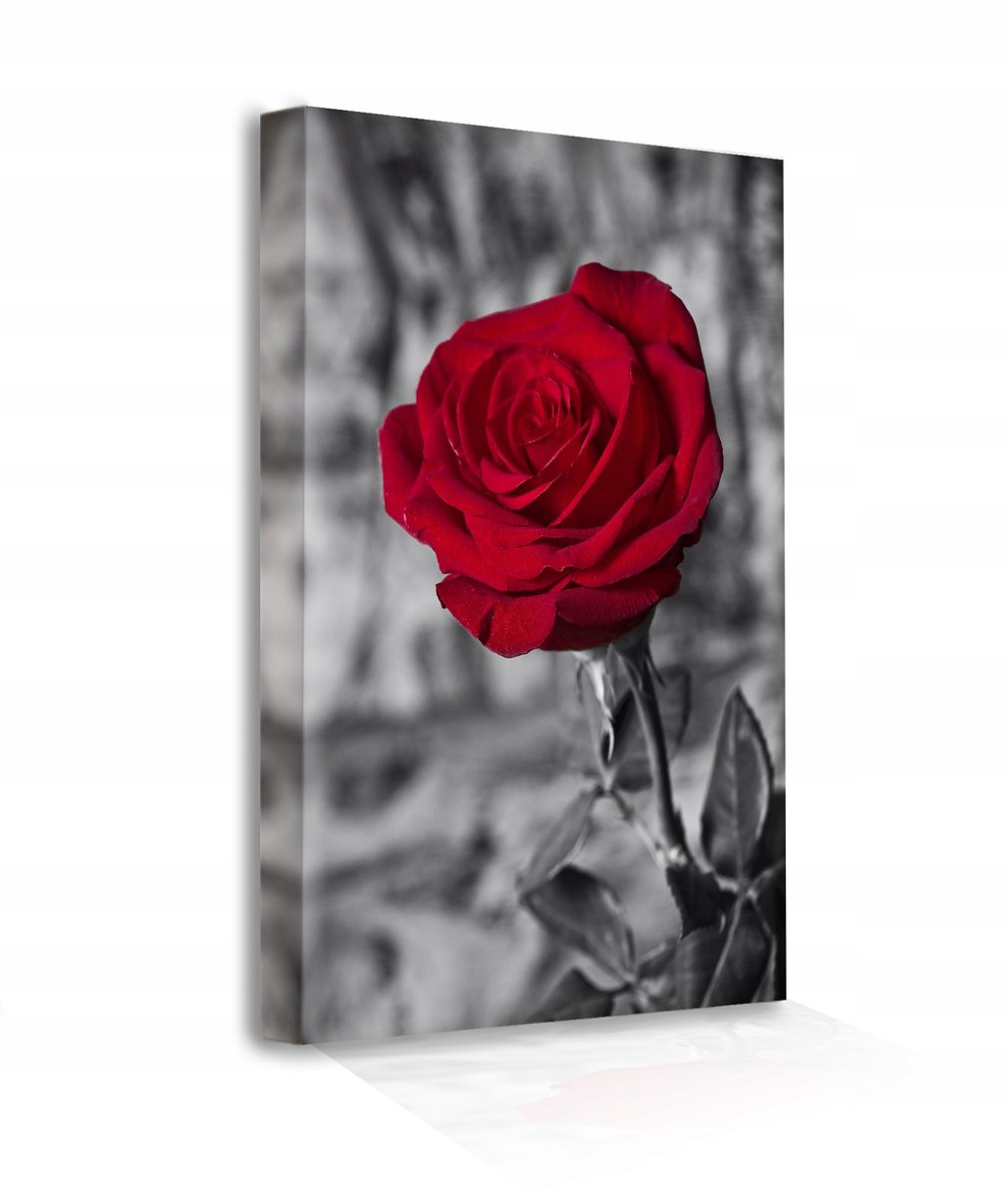 OBRAZ NA PŁÓTNIE NA ŚCIANĘ Blanco & Rojo 90x140 cm - Inna marka | Sklep ...