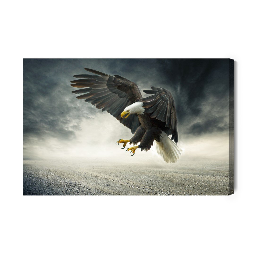 Obraz Na Płótnie Orzeł Podczas Burzy 30x20 - Inna marka | Sklep EMPIK.COM