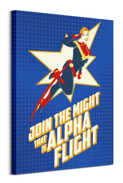 Obraz na płótnie PYRAMID POSTERS Captain Marvel Alpha Flight, 60x80 cm ...