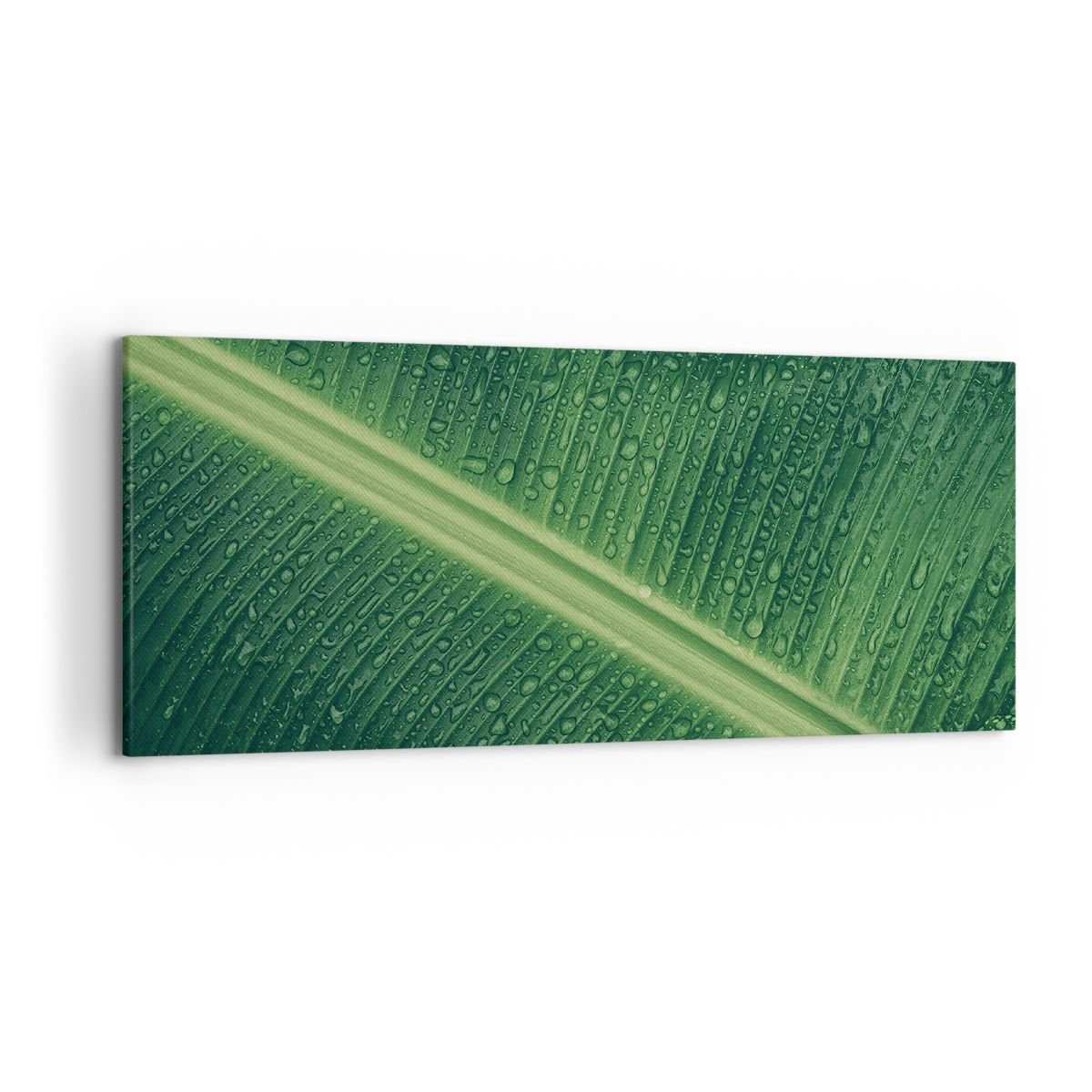 Obraz na płótnie - Struktura zieleni - 120x50cm - Zielony Liść Roślina ...