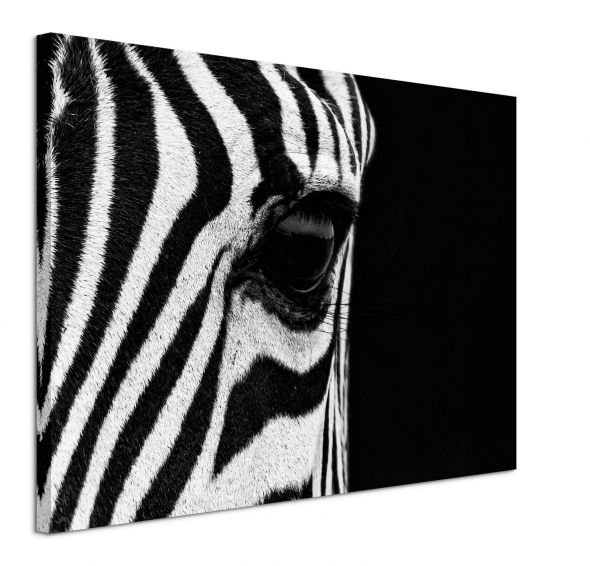 Obraz na płótnie Zebra Eye na ścianę do salonu 80x60 cm - Pyramid ...