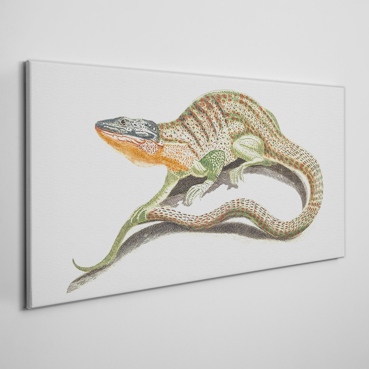Obraz na ramie płótno Zwierzę jaszczurka 100x50 cm - Coloray | Sklep ...