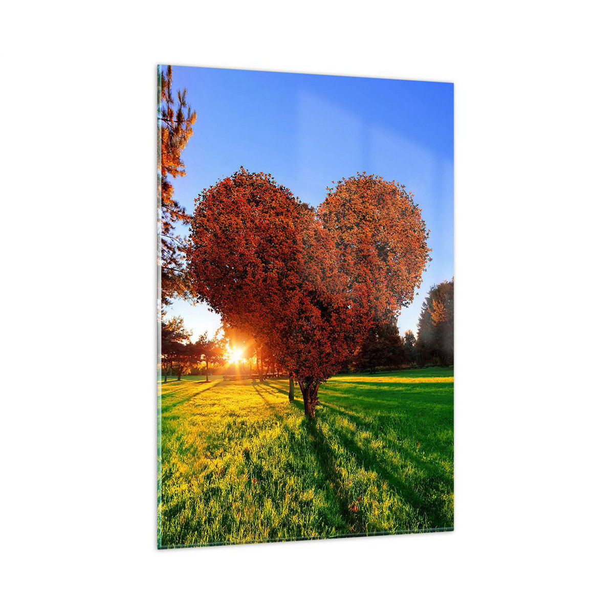 Obraz na szkle - I jak nie kochać jesieni - 80x120cm - Krajobraz Drzewo ...
