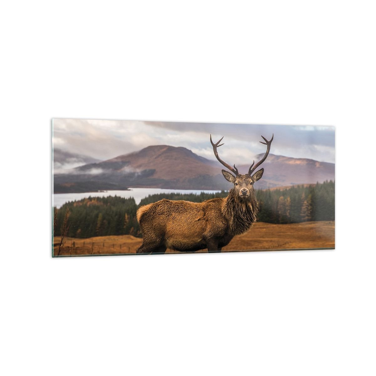 Obraz na szkle - Majestat natury - 120x50cm - Zwierzęta Jeleń Krajobraz - Nowoczesny szklany ...