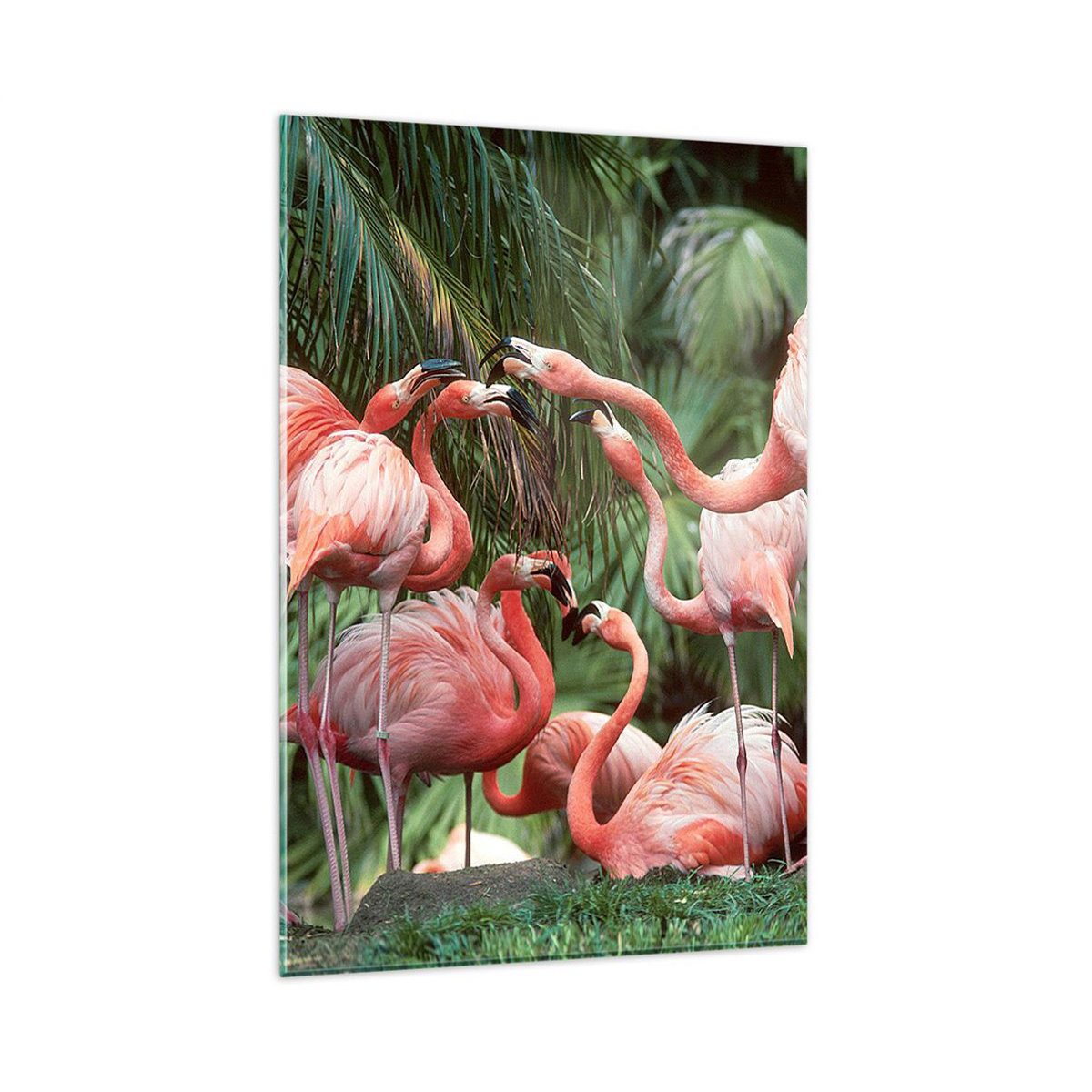 Obraz na szkle - Popołudniowe ploteczki - 80x120cm - Stado Flamingów ...