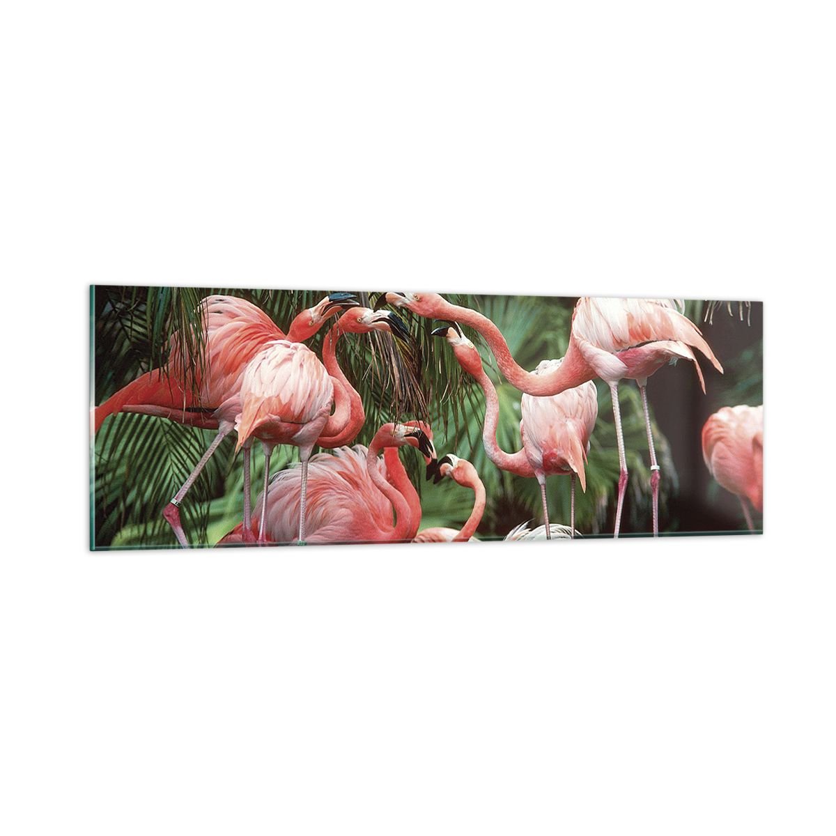 Obraz na szkle - Popołudniowe ploteczki - 90x30cm - Stado Flamingów ...