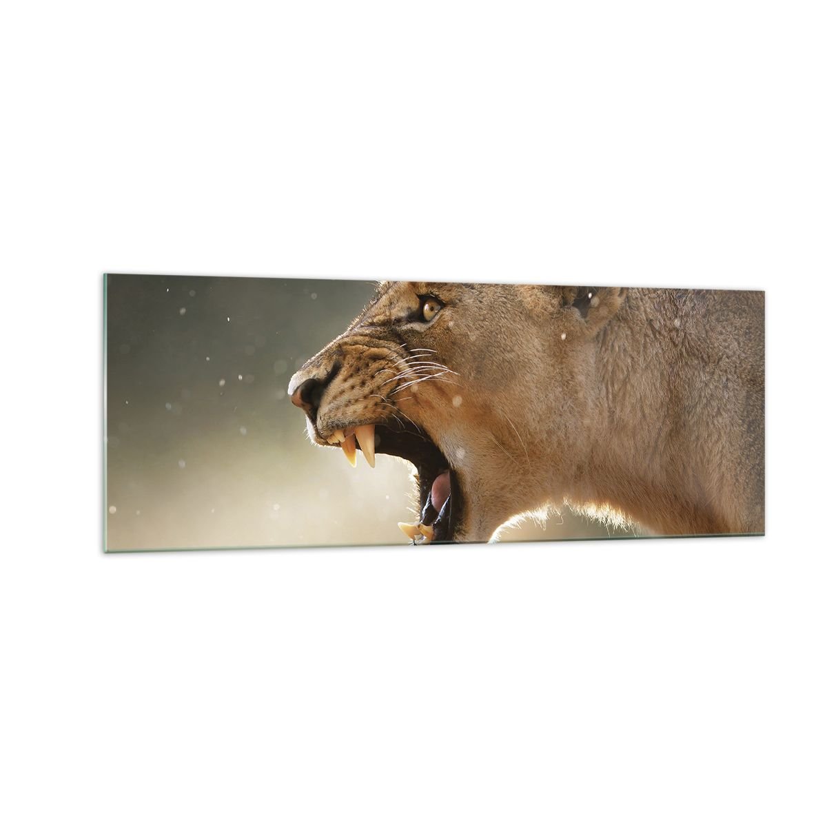 Obraz na szkle - Spróbuj nie posłuchać - 140x50cm - Zwierzęta Lew Afryka - Nowoczesny szklany ...