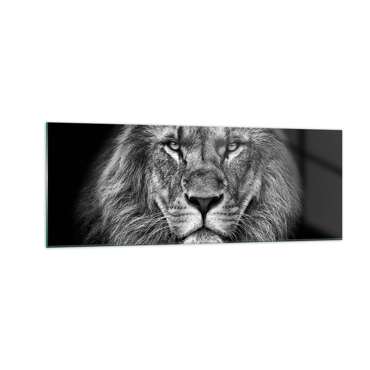 Obraz na szkle - W stroju koronacyjnym - 140x50cm - Zwierzęta Lew Czarno-Biały - Nowoczesny ...