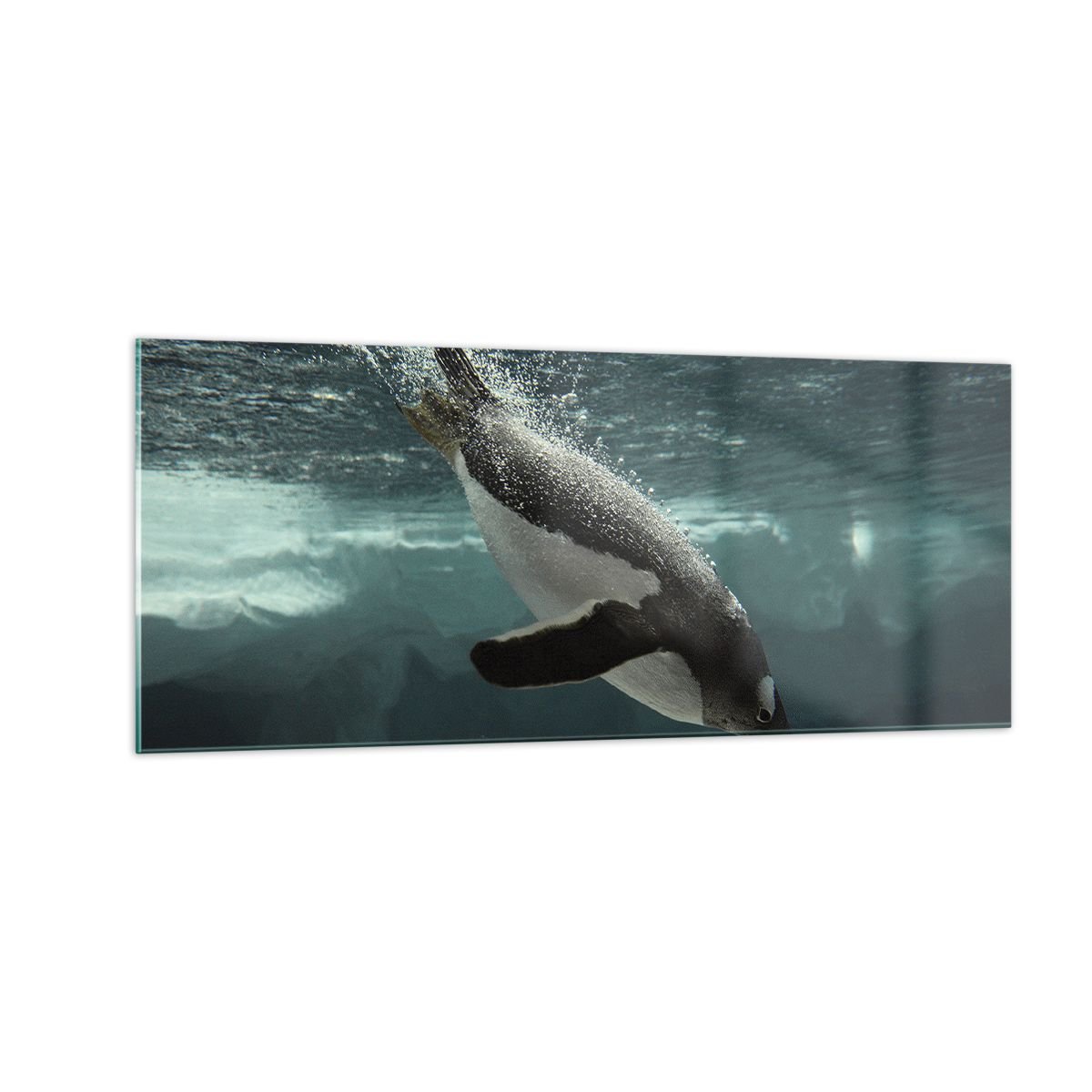 Obraz na szkle - Witaj w moim świecie - 100x40cm - Pingwin Zwierzęta ...