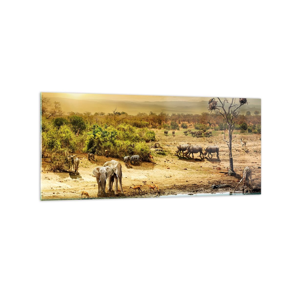 Obraz na szkle - "Z Edenu zaś wypływała rzeka…" - 120x50cm - Sawanna ...
