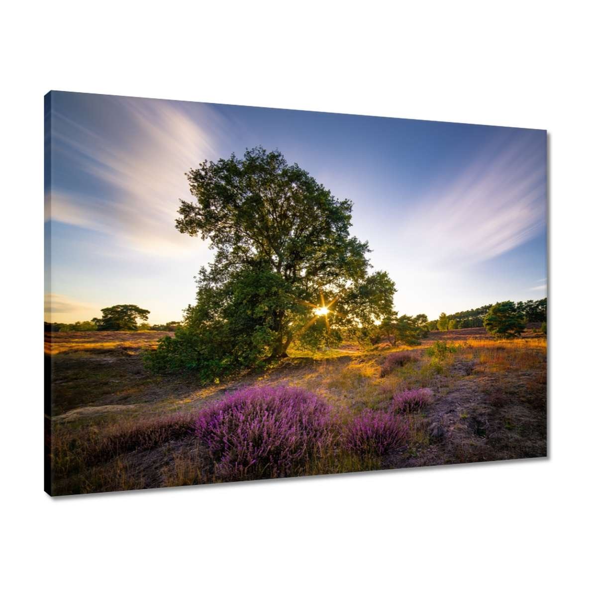 Obraz Pejzaż Krajobraz Widoczek, 70x50cm - ZeSmakiem | Sklep EMPIK.COM