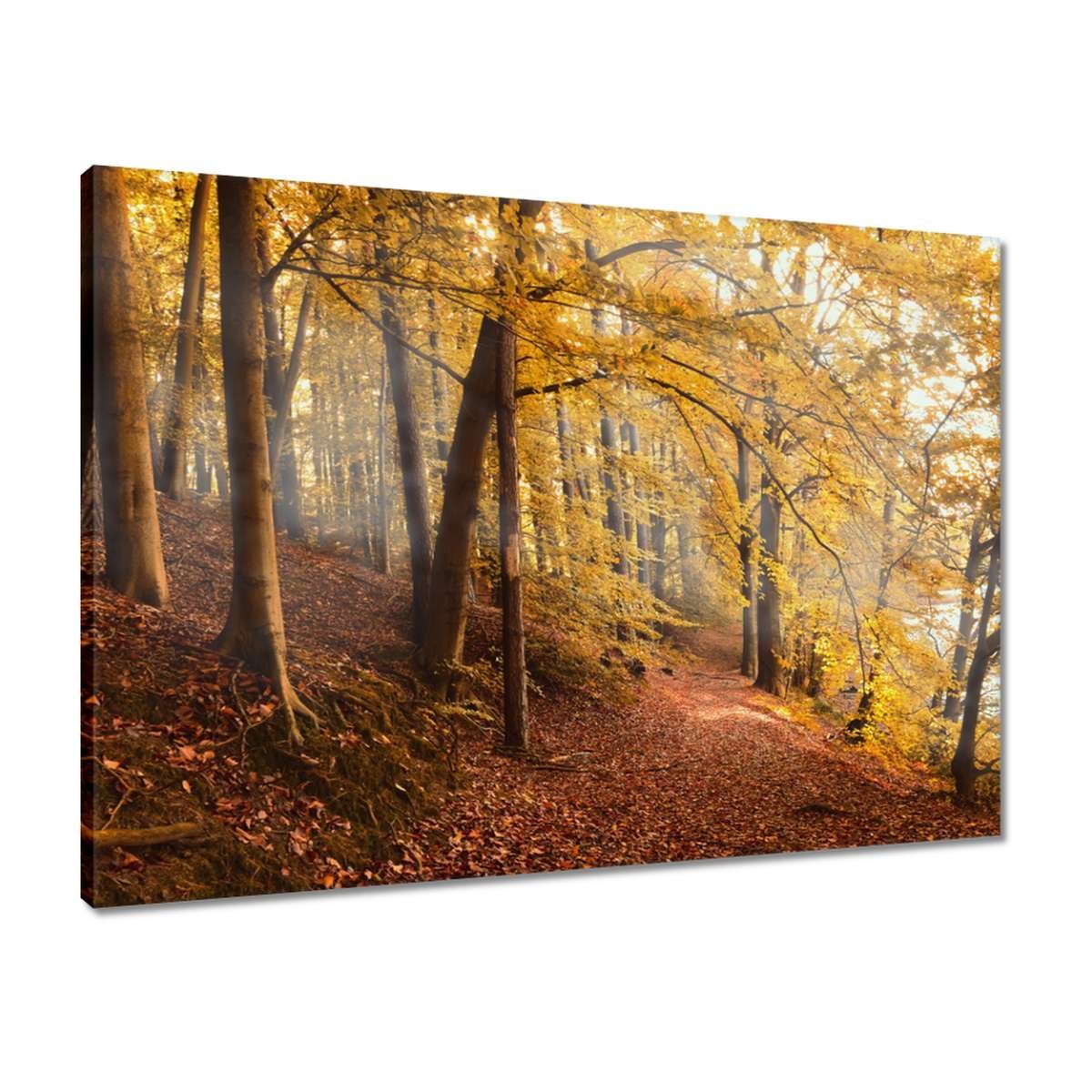 Obraz Pejzaż Krajobraz Widoczek, 70x50cm - ZeSmakiem | Sklep EMPIK.COM