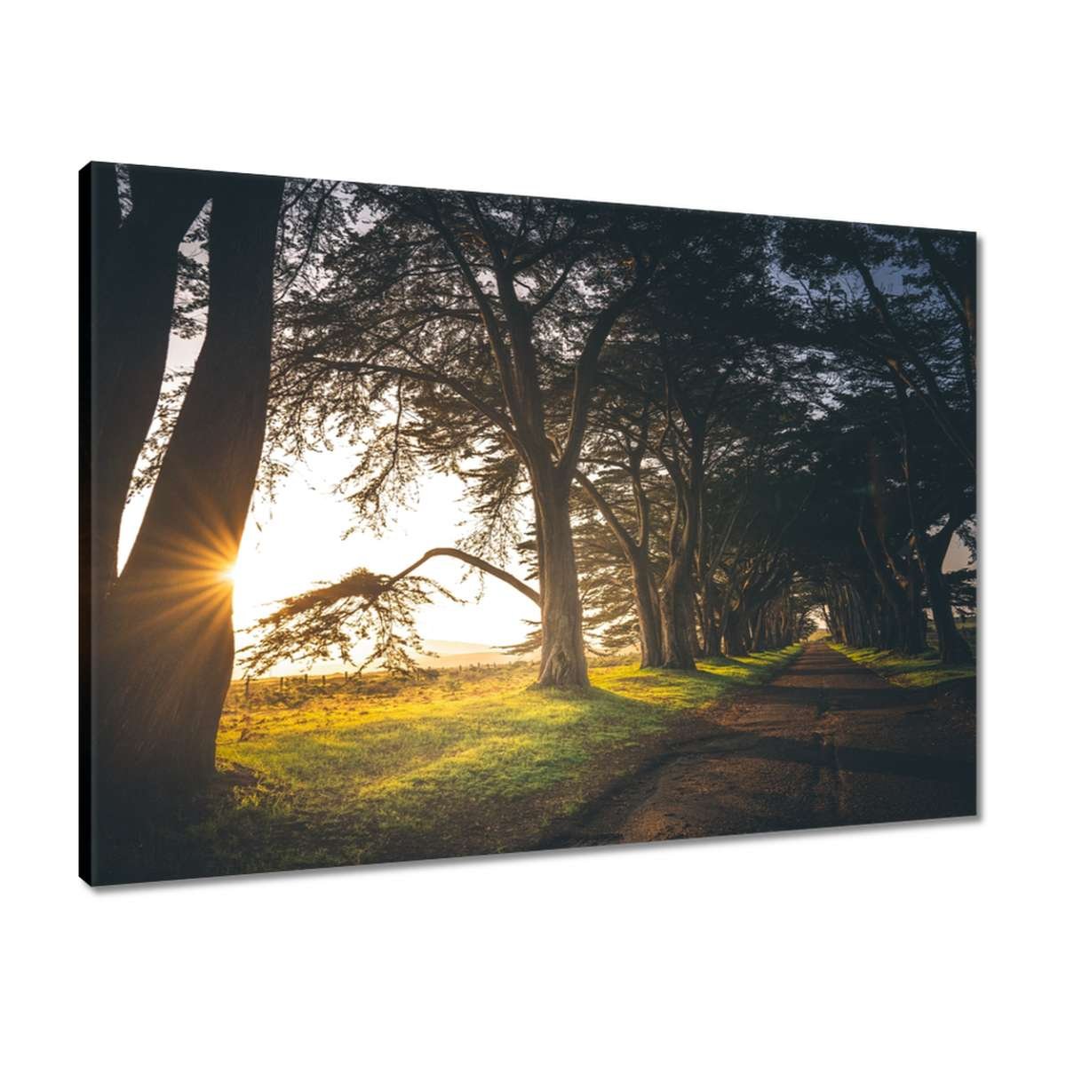 Obraz Pejzaż Krajobraz Widoczek, 70x50cm - ZeSmakiem | Sklep EMPIK.COM