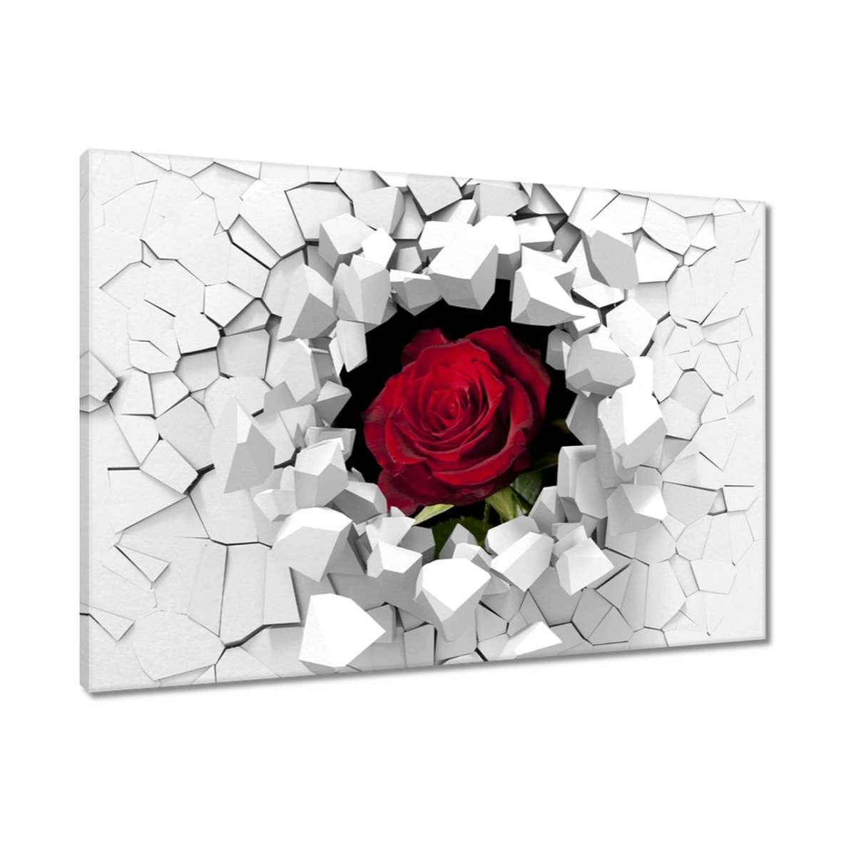 Obraz Piękna róża, 120x80cm - ZeSmakiem | Sklep EMPIK.COM