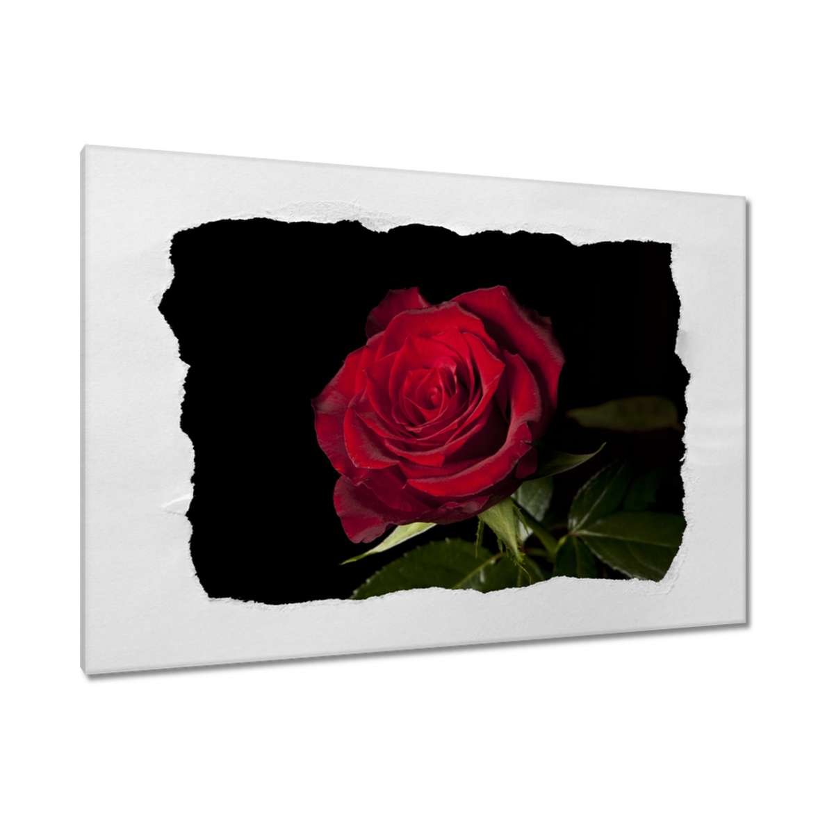 Obraz Piękna róża, 120x80cm - ZeSmakiem | Sklep EMPIK.COM