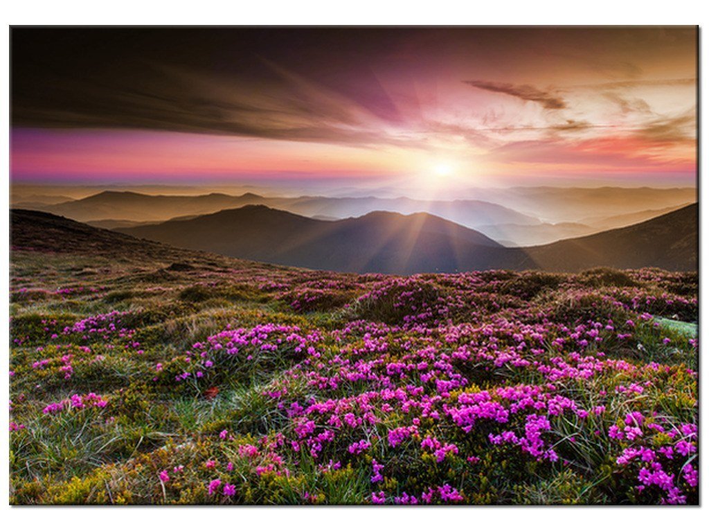 Obraz Piękny krajobraz, 100x70 cm - Oobrazy | Sklep EMPIK.COM