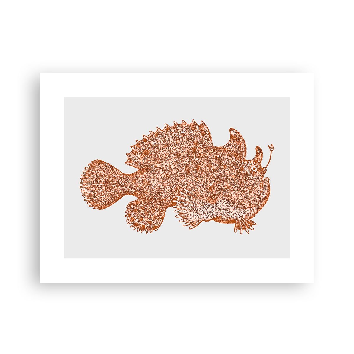 Obraz - Plakat - A jednak ryba - 40x30cm - Ryba Morska Ocean Nadmorski ...