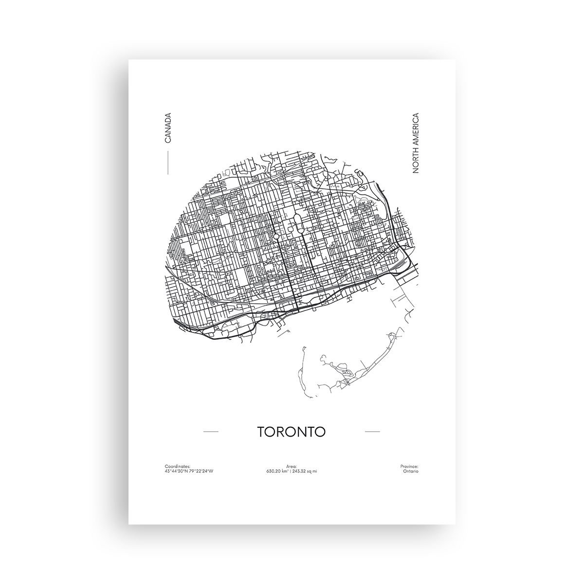 Obraz - Plakat - Anatomia Toronto - 70x100cm - Mapa Toronto Kanada ...
