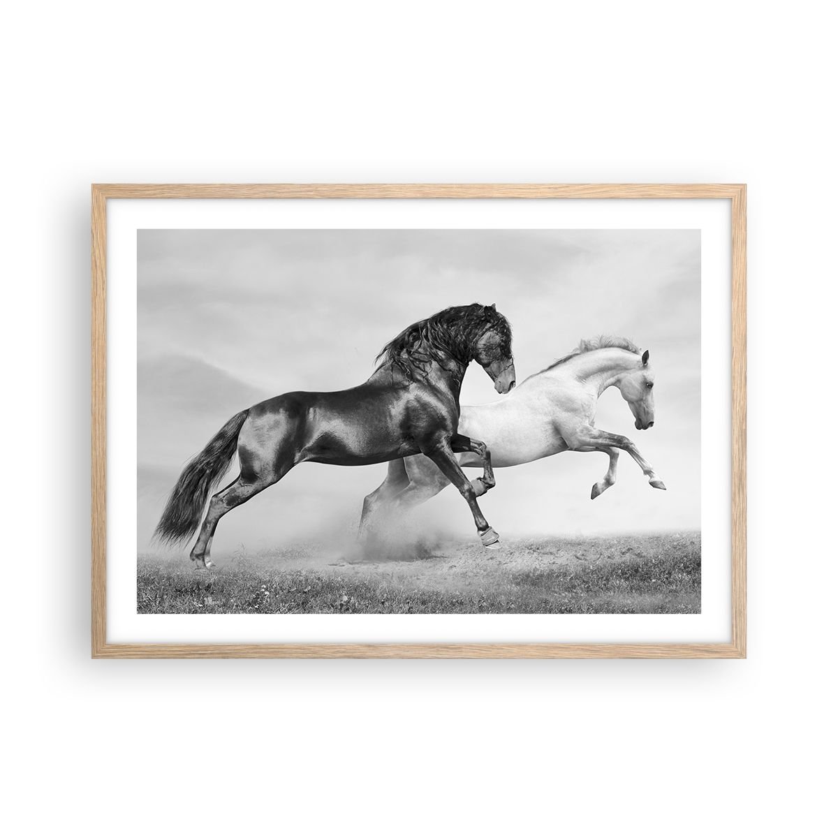 Obraz - Plakat - Anioły i demony - 70x50cm - Zwierzęta Konie Natura ...